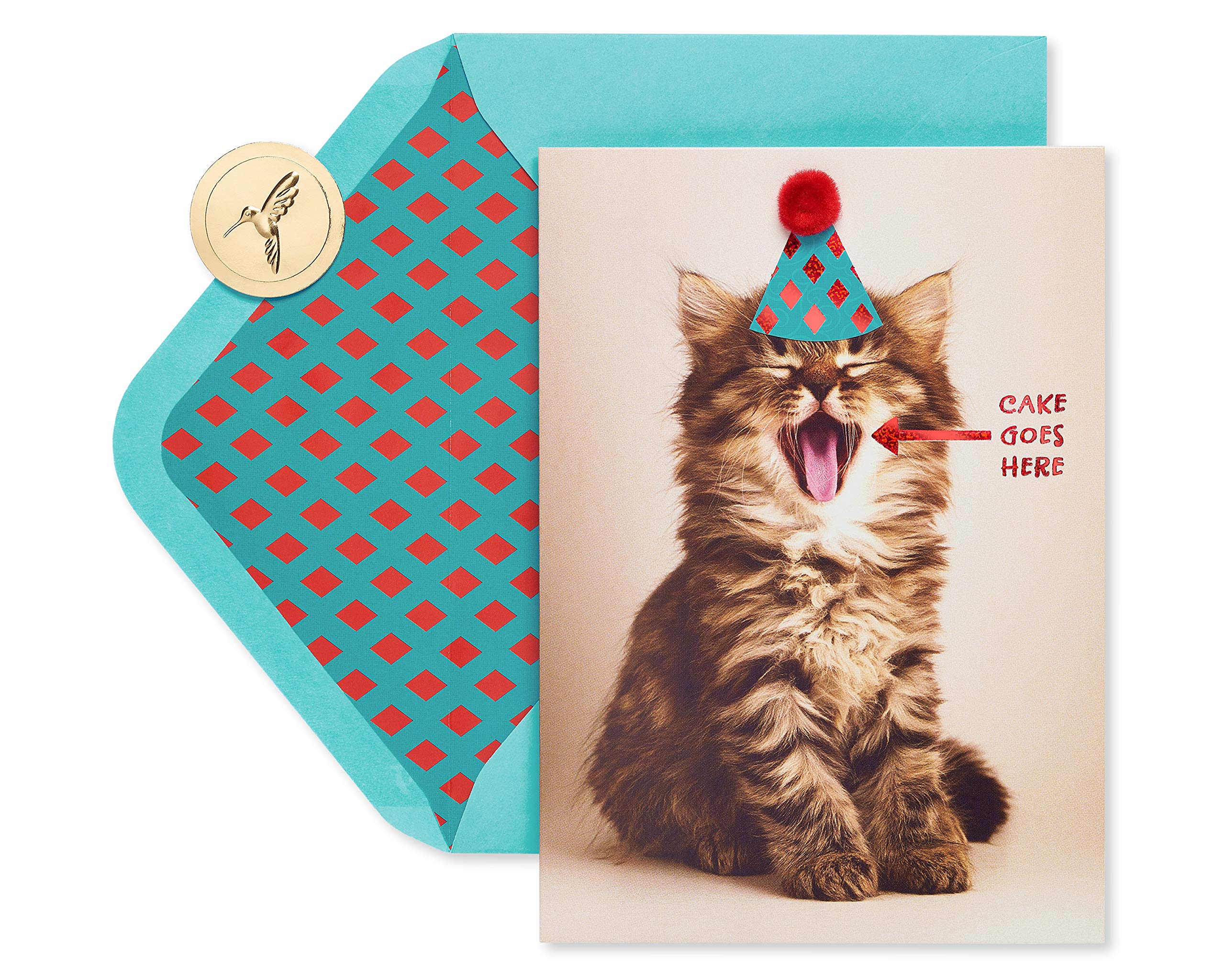 Papyrus Funny Cat Birthday Card (Indulge) - Walmart.com