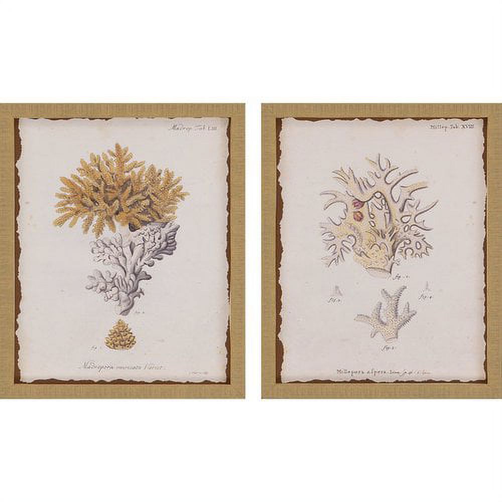 Paragon Natura II 2 Piece Framed Graphic Art Set - Walmart.com