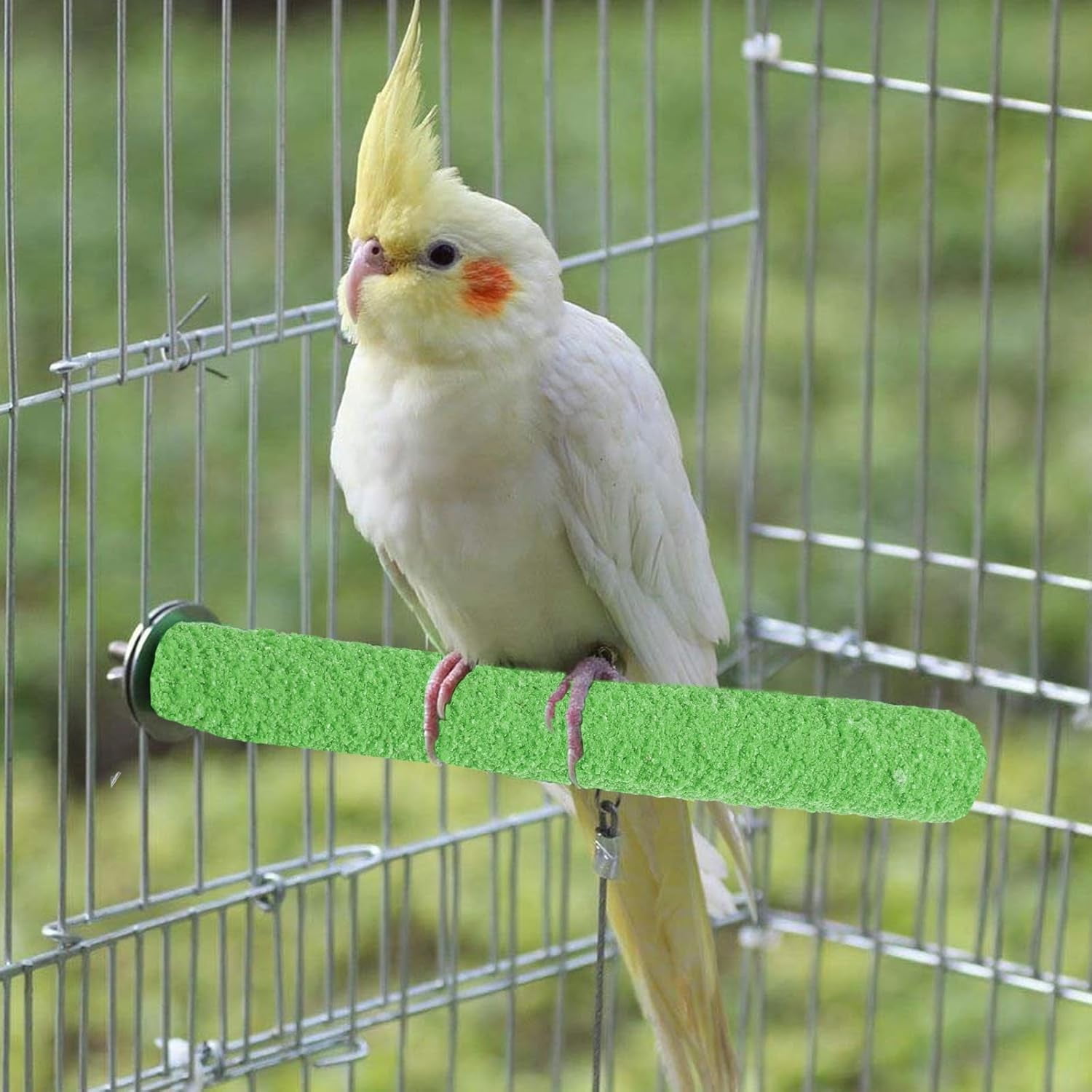 Parakeet Bird Perches for Cage, Wood Parrot Stand Cage Accessories ...