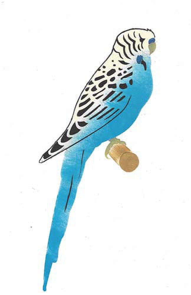Parakeet Bird Wall Stencil SKU #1913 by Designer Stencils - Walmart.com