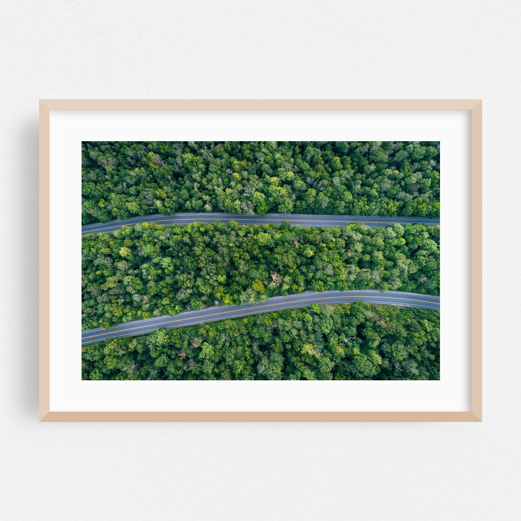 Parallels - New Hampshire Photography Forest Nature Landscape Scenic ...