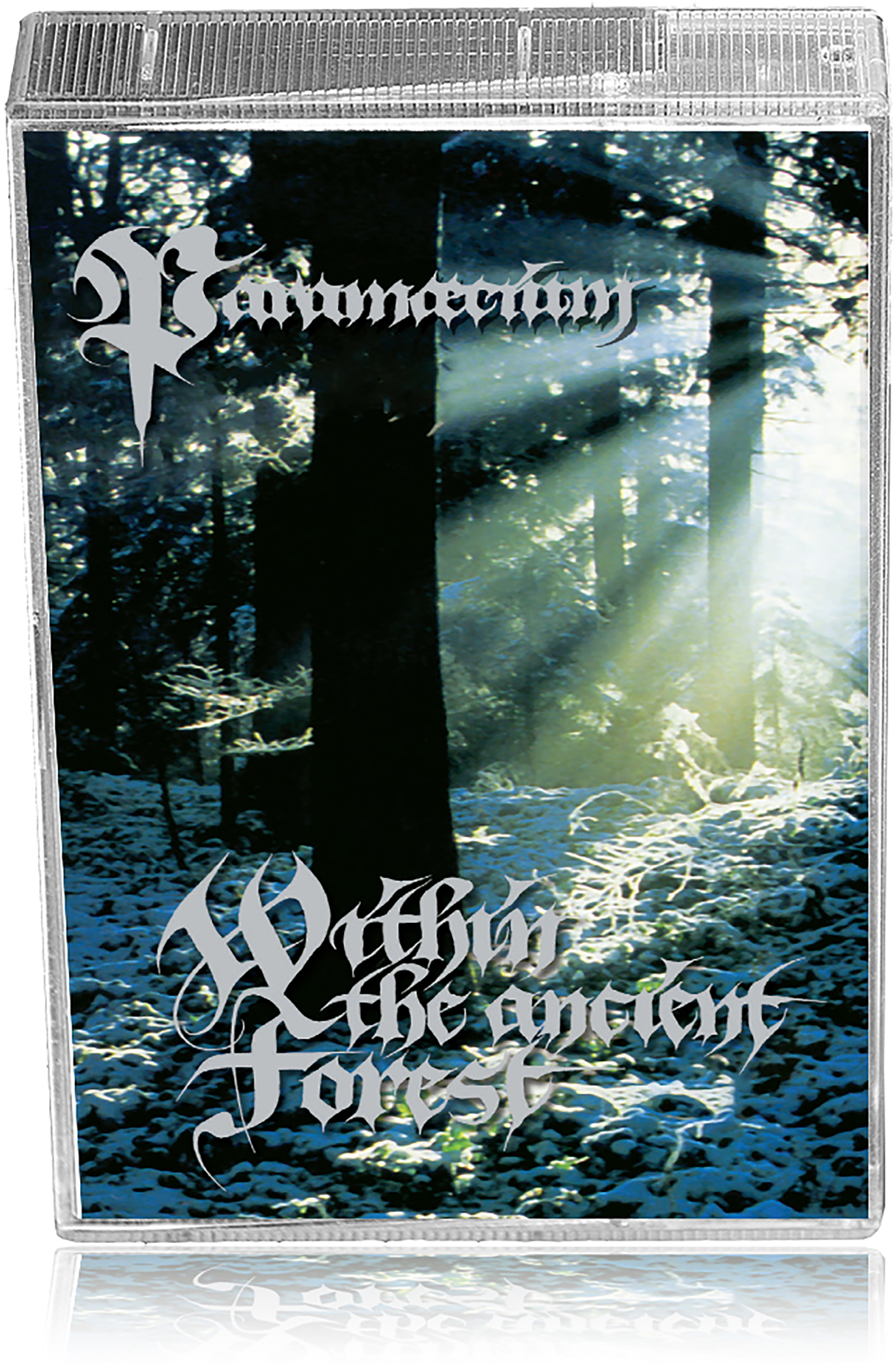 Paramaecium - Within The Ancient Forest - Music & Performance ...