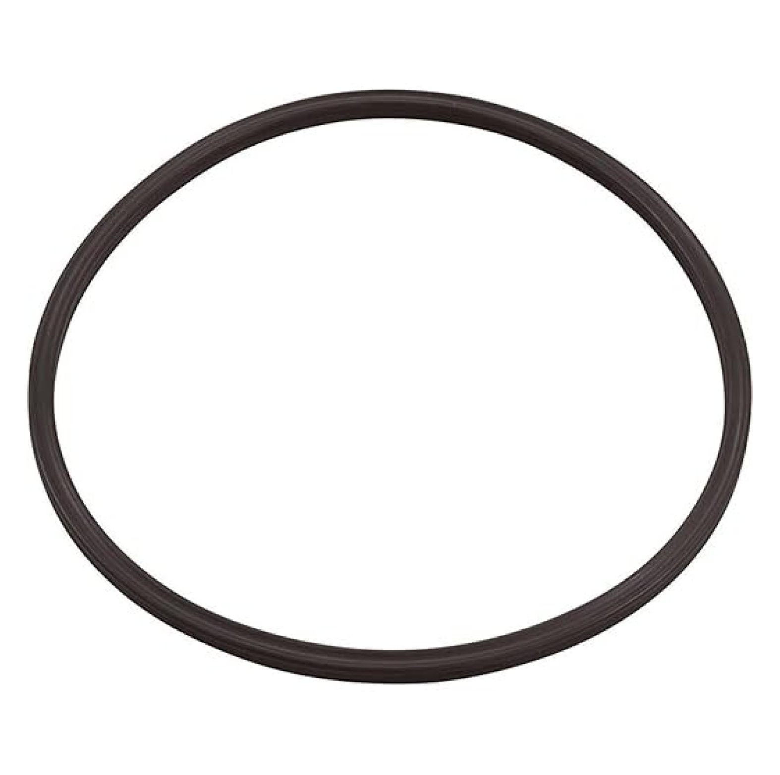 Paramount Leaf Canister Lid O-Ring Replacement - 005-152-0120-00 Pool ...