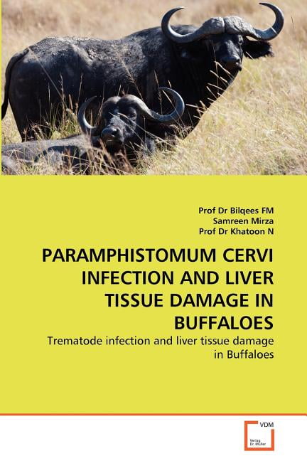 Paramphistomum Cervi Infection and Liver Tissue Damage in Buffaloes ...