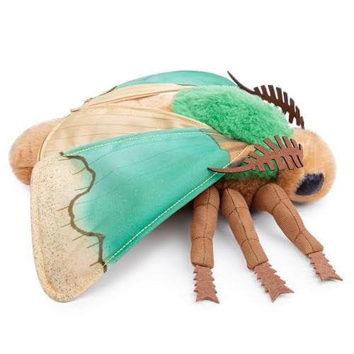Parasa Consocia Plush Toy,Green Moth Stuffed Animal, Green Moth Plush ...