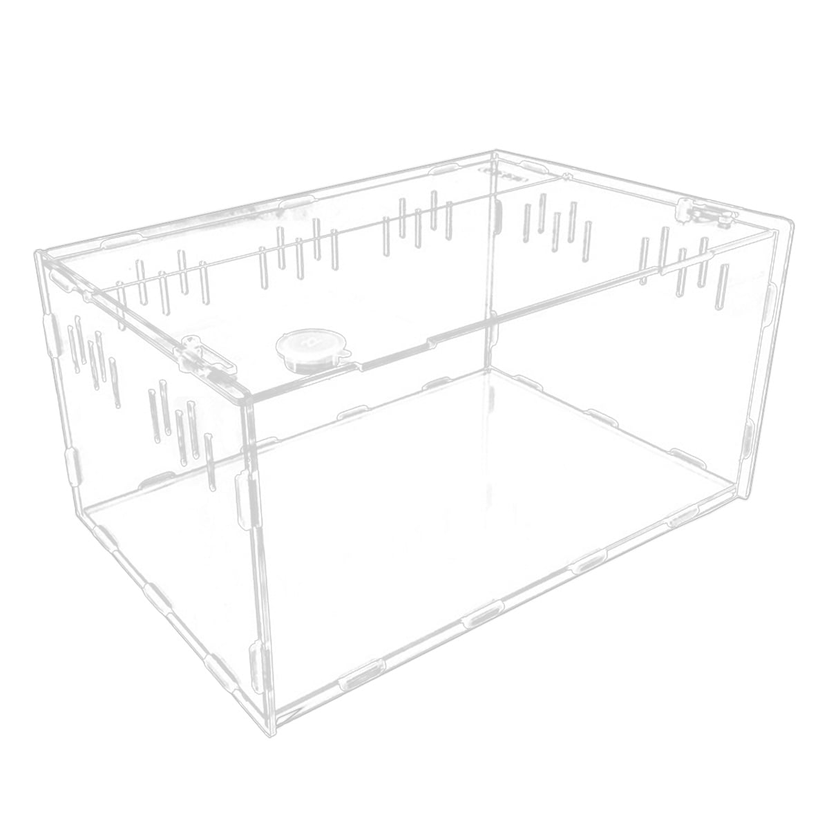 Paraugas Mini Terrarium Carrying Box, Acrylic Reptile Feeding Box ...
