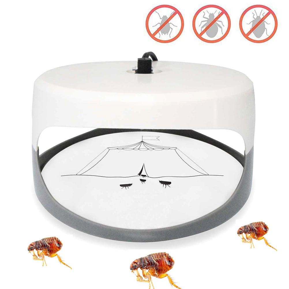 Paraugas Sticky Dome Flea Trap Odorless Non Toxic Natural Flea Killer ...