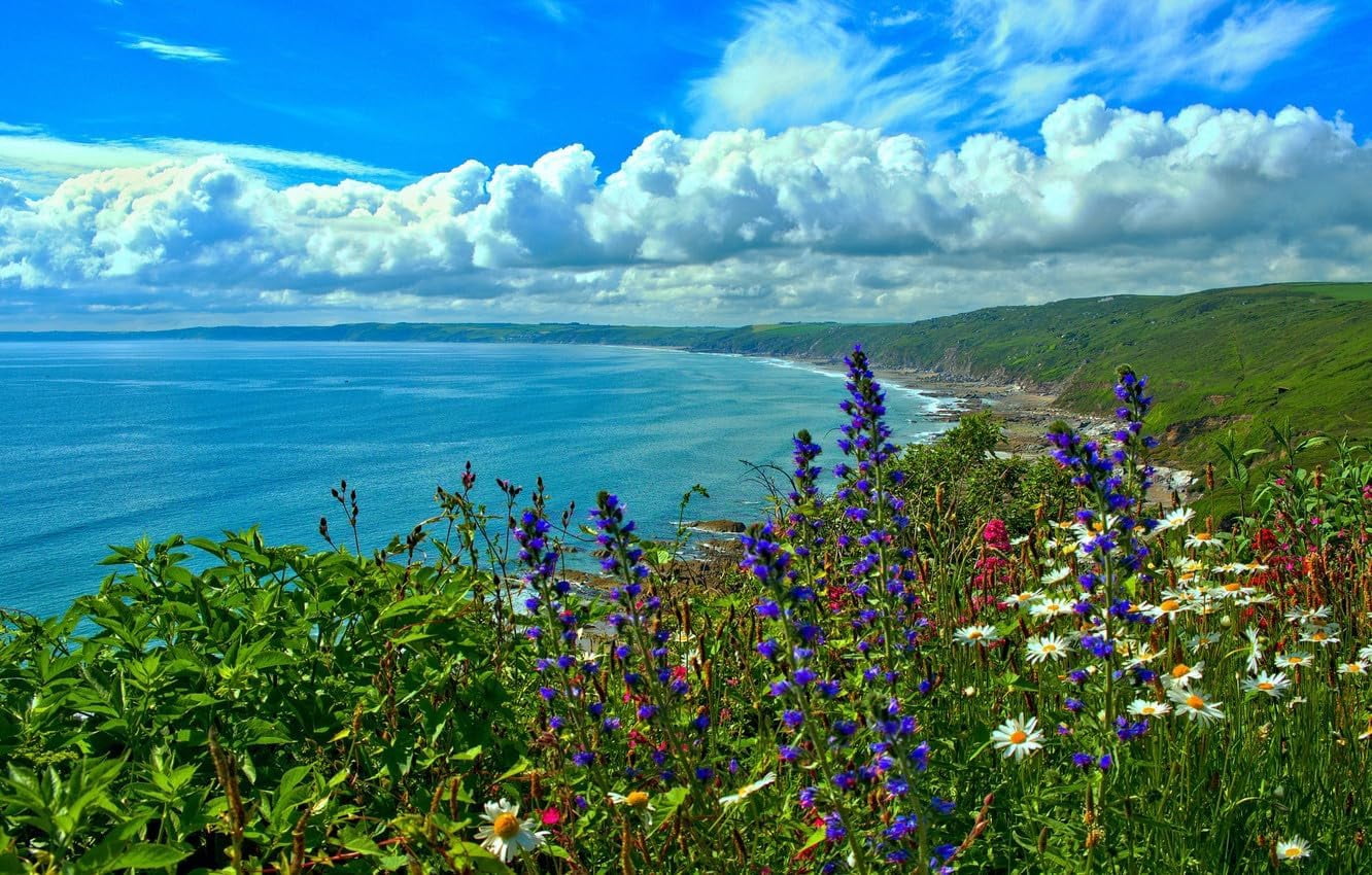 Parent-Child Game Puzzle 1000 Pieces Coast England Cornwall for Players ...