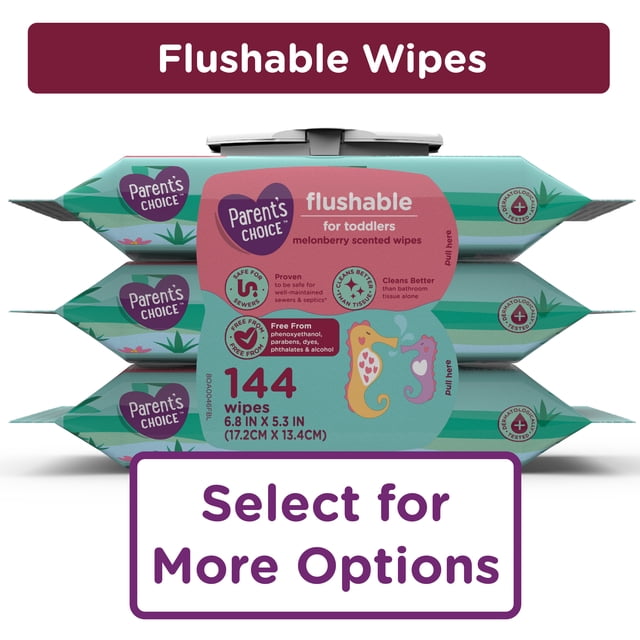 Parent' Choice Melon Wipes | Baby wipes for health stores - Walmart ...