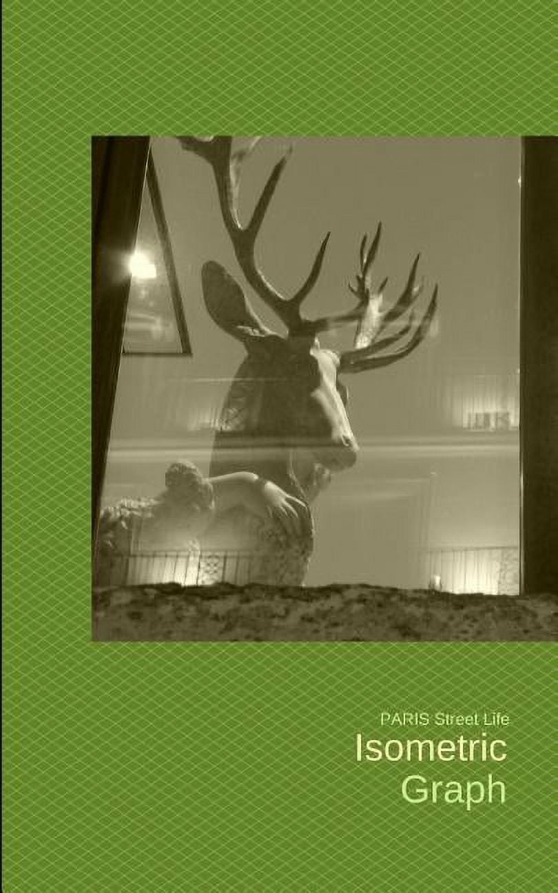 Paris Street Life Isometric Graph: Grid of Equilateral Triangles for 3D ...