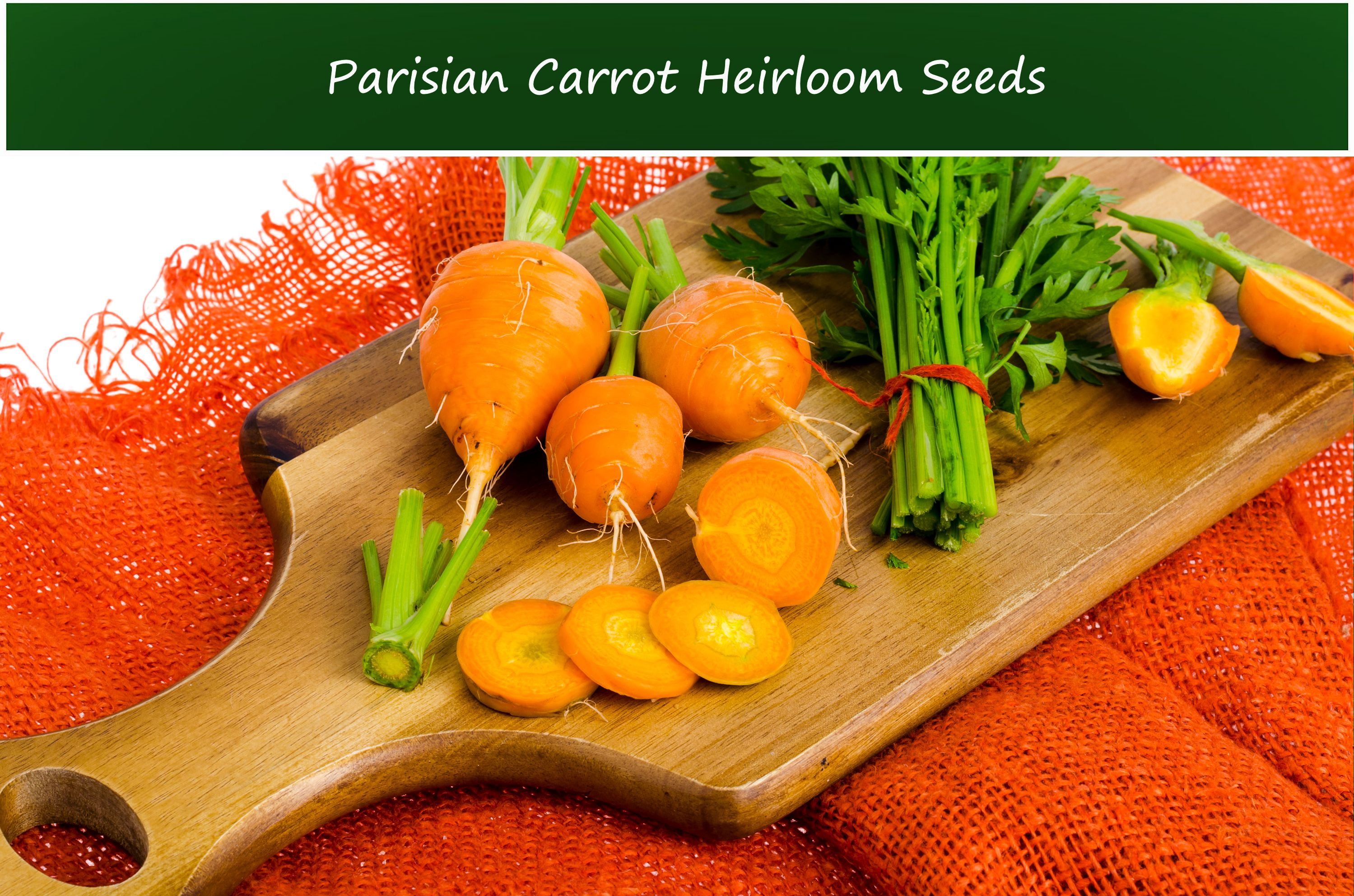 Parisian Carrot Seeds --100 Heirloom Vegetable Seeds - Walmart.com