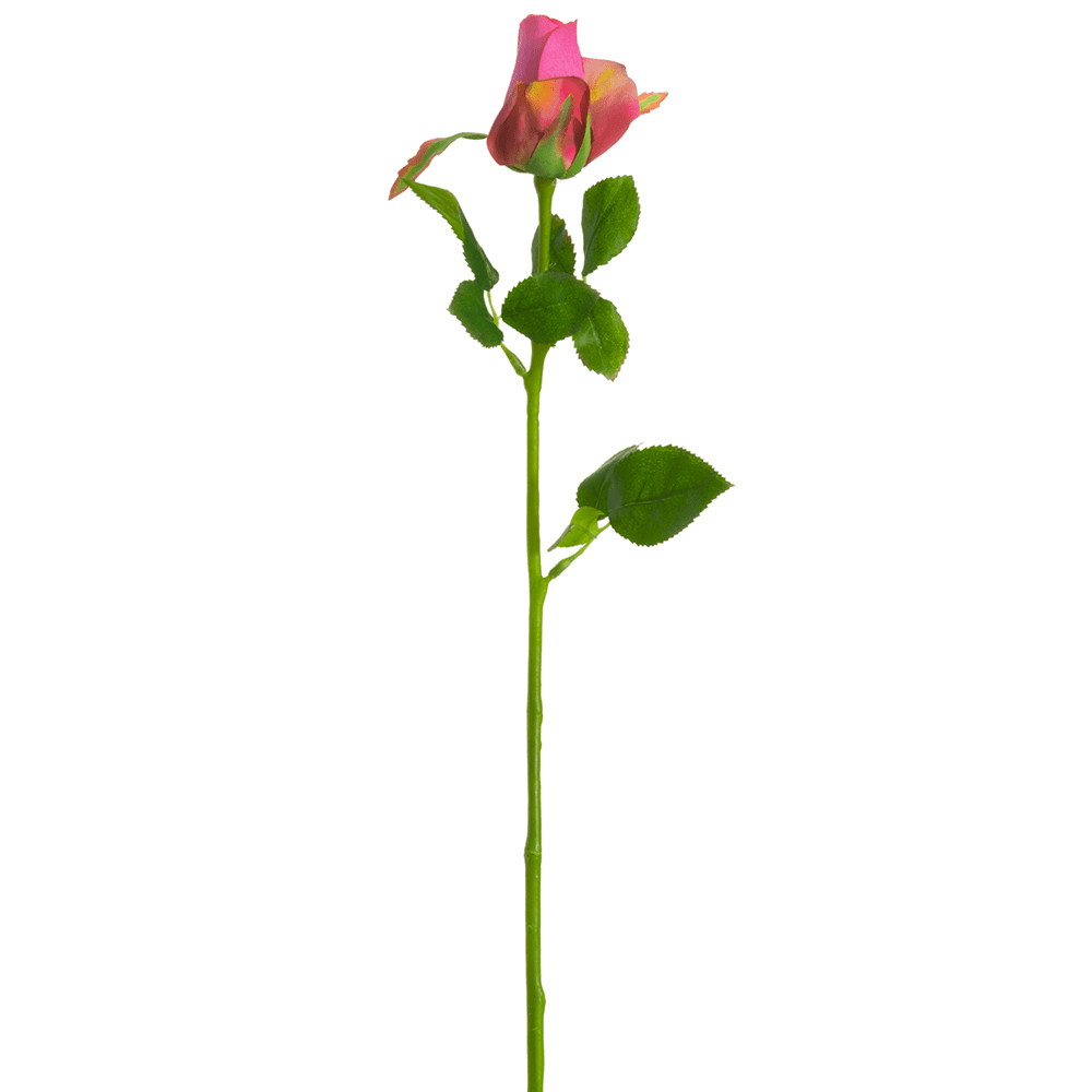 Park Place - 12 Piece Rose Stem 19" Cerise - Walmart.com