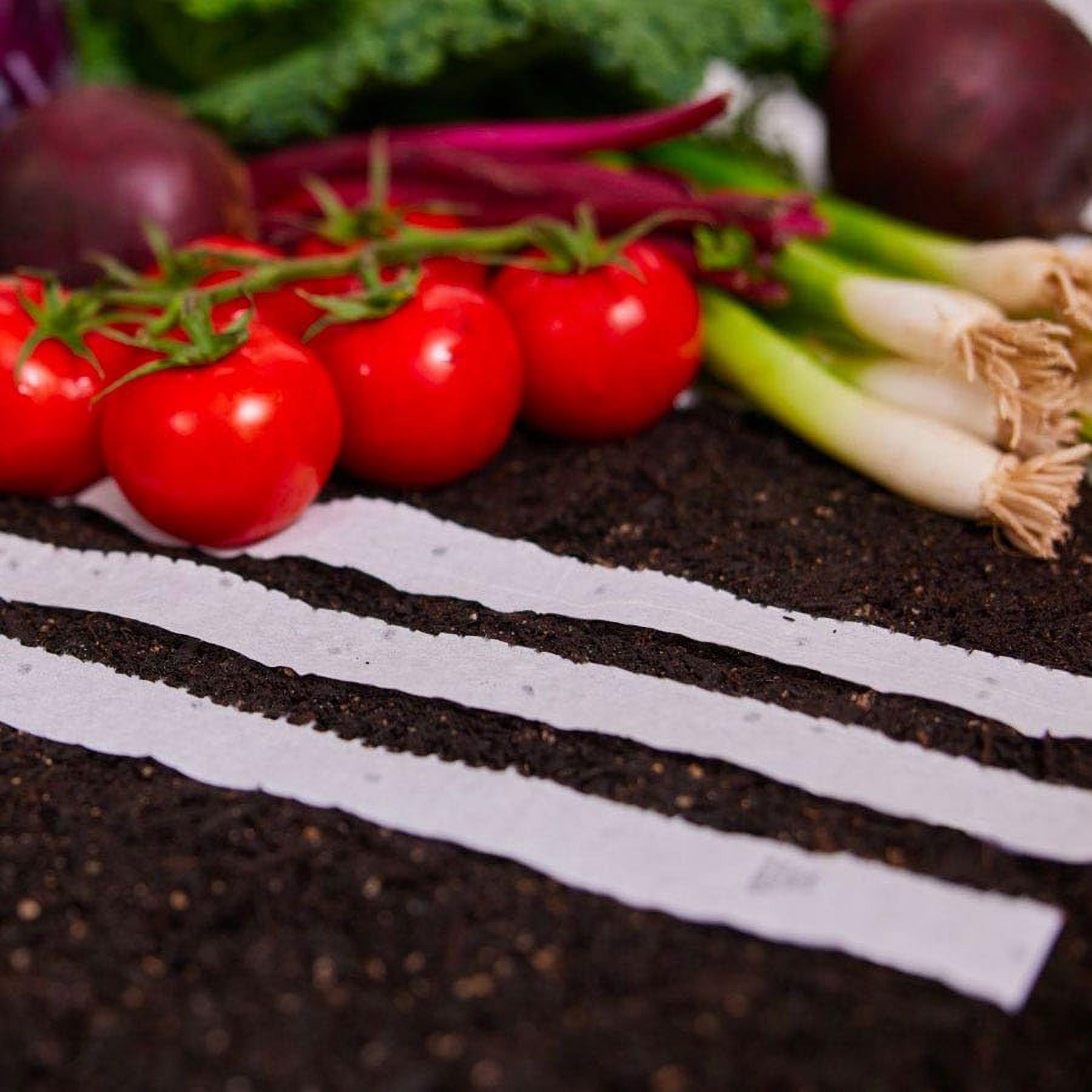 Park Seed Easy AJH3 DIY Planting Sow Effortless Collection Seed Tape ...