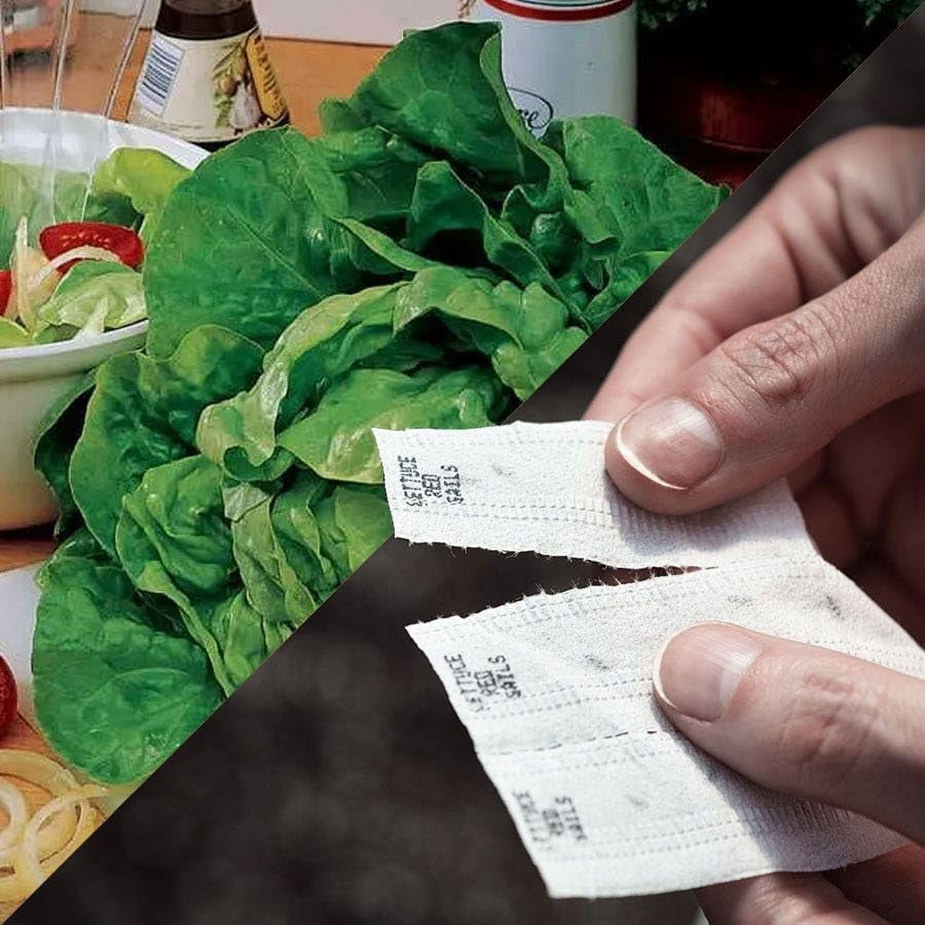 Park Seed Easy DIY Planting Sow MVR1 Effortless Collection Seed Tape ...