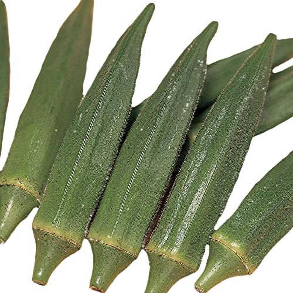 Park Seed Jambalaya Okra Seeds, Includes MVR1 30 Seeds in a Pack ...