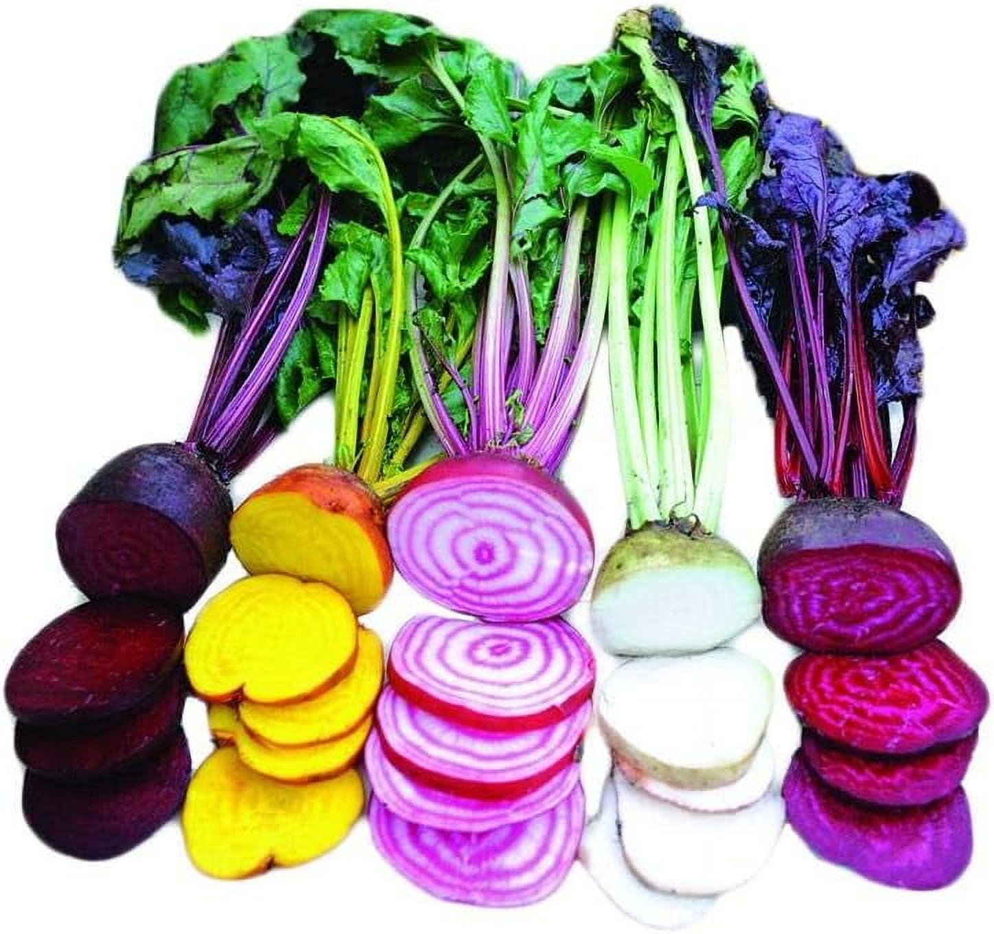 Park Seed Rainbow Mix Beet Seed Tape - Walmart.com