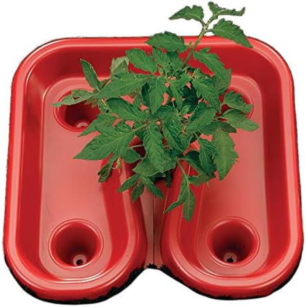 Park Seed Red Tomato Automator Tray, All-Purpose Feeder, Waterer ...