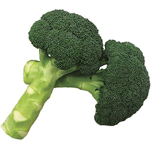 Park Seed Variety of Broccoli Plant Seeds, Easy to Grow, Perfect for ...
