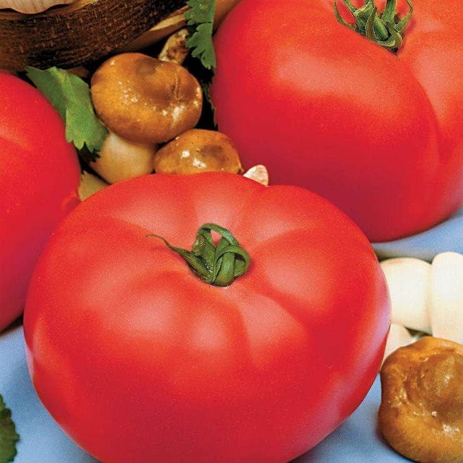 Park Seed Variety of Tomato Vegetable Seeds, Plant Seeds, Easy to Grow ...