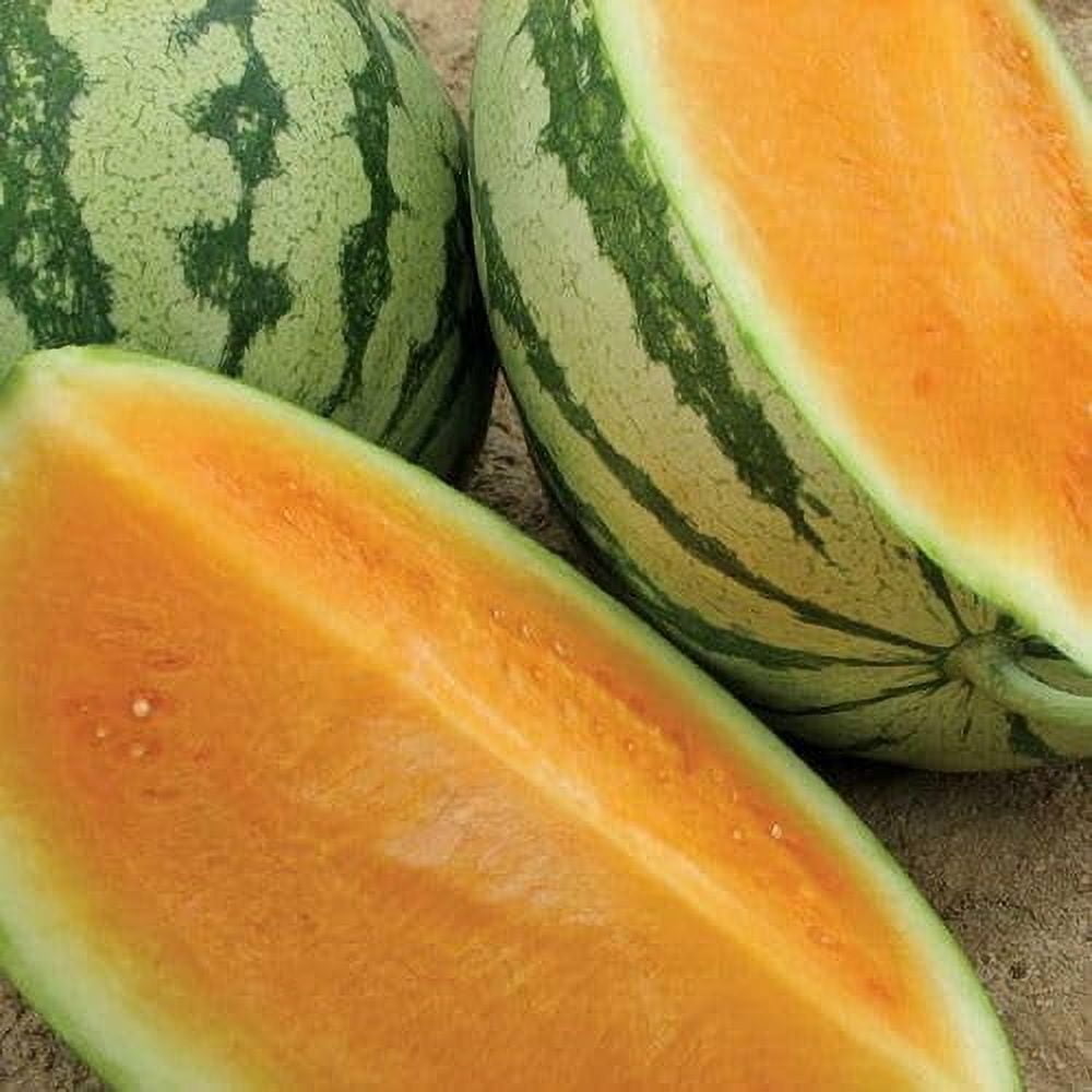 Park Seed Variety of Watermelon Fruit Seeds, Plant Seeds, Easy to Grow ...