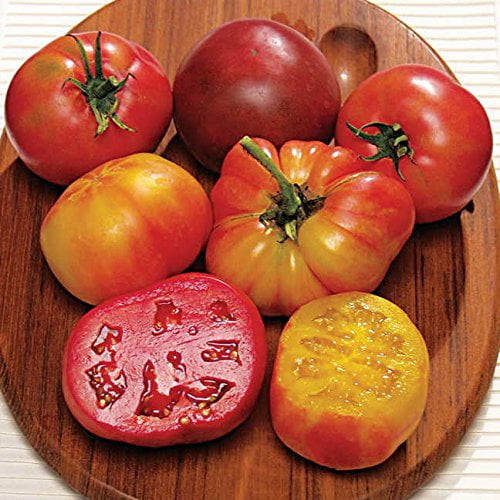 Park Seed VarietyEGSC of Tomato Seeds, Planting Vegetables, Easy to Grow, Non-GMO, Perfect for ...