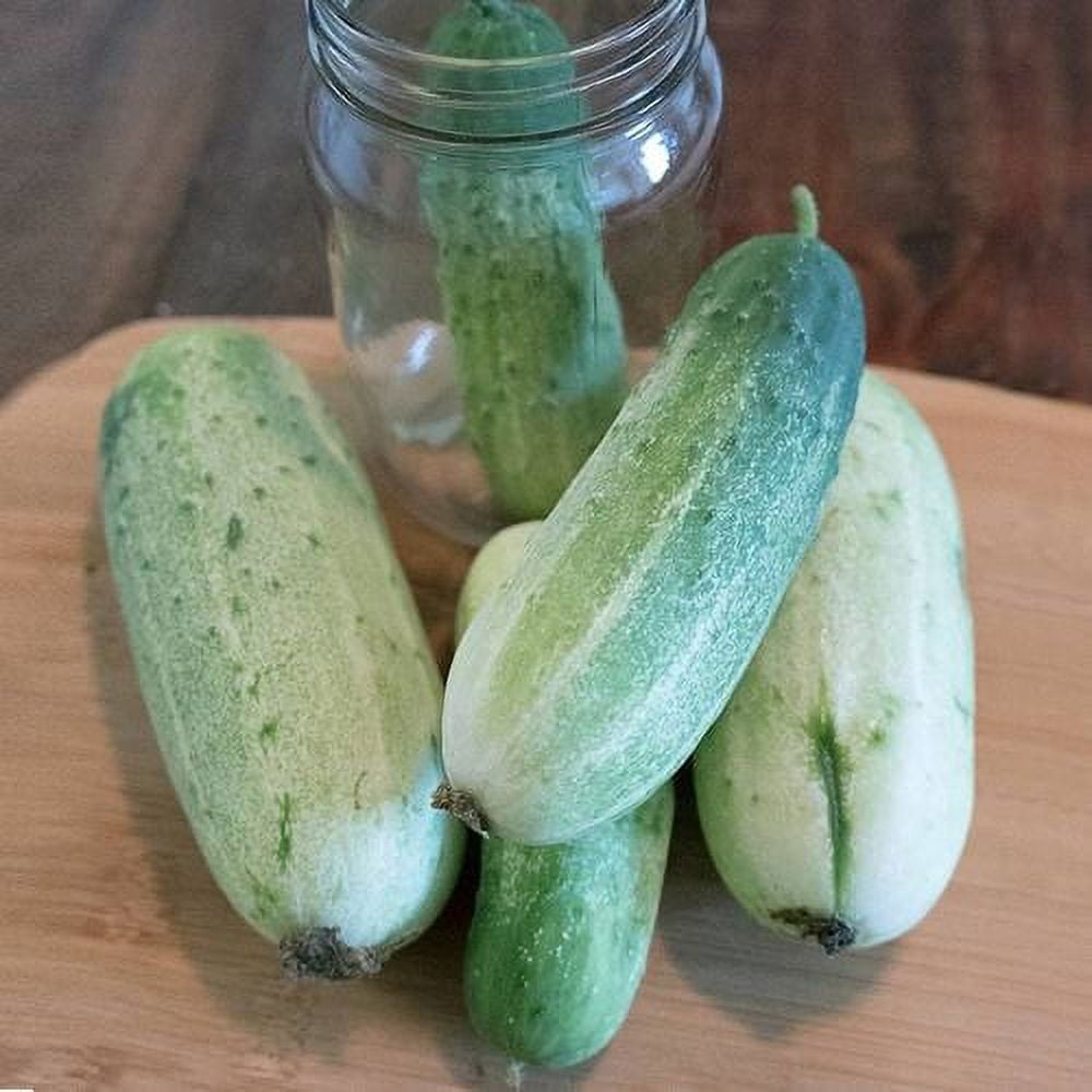 Park Seed Variety of Cucumber Seeds, Planting Cucumbers, Vegetable ...