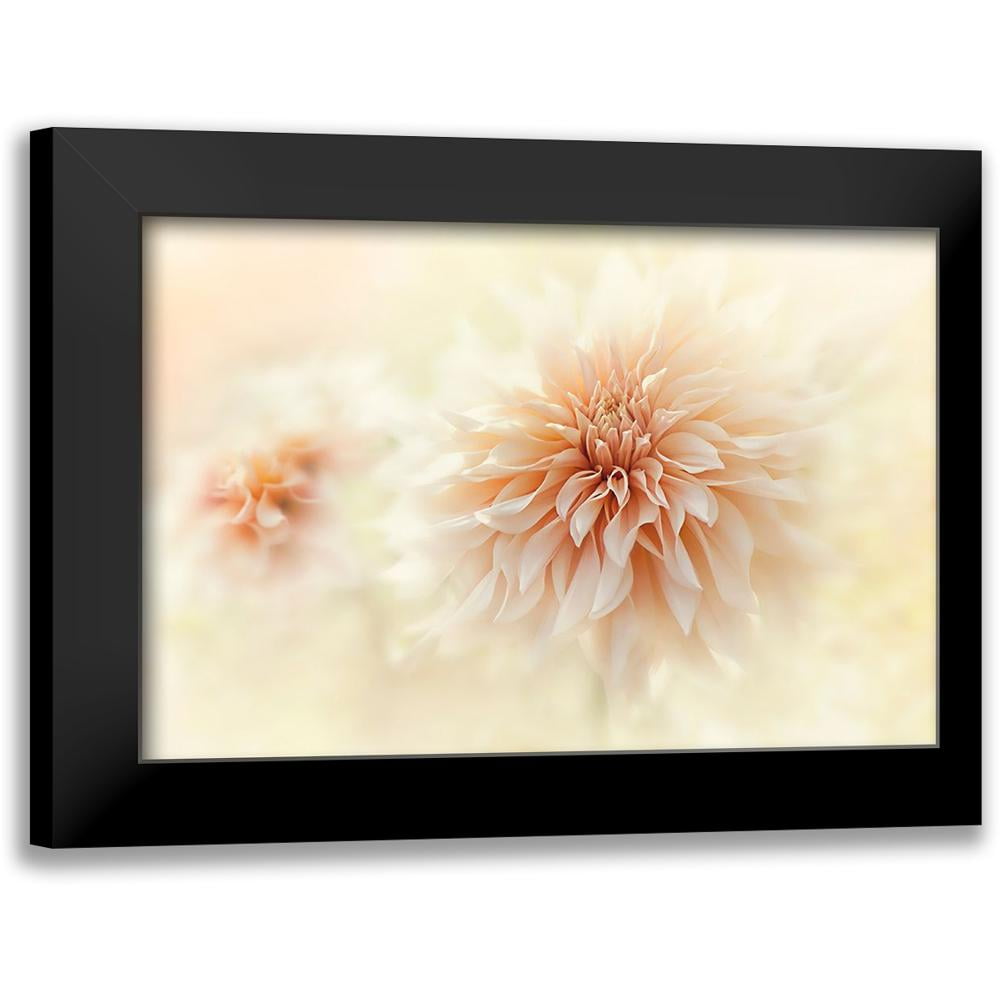Parker, Jacky 24x17 Black Modern Framed Museum Art Print Titled - Cafe Au Lait Dahlia - Walmart.com
