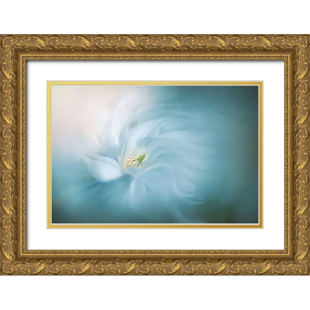 Parker, Jacky 24x17 Gold Ornate Wood Framed with Double Matting Museum Art Print Titled - Floral ...
