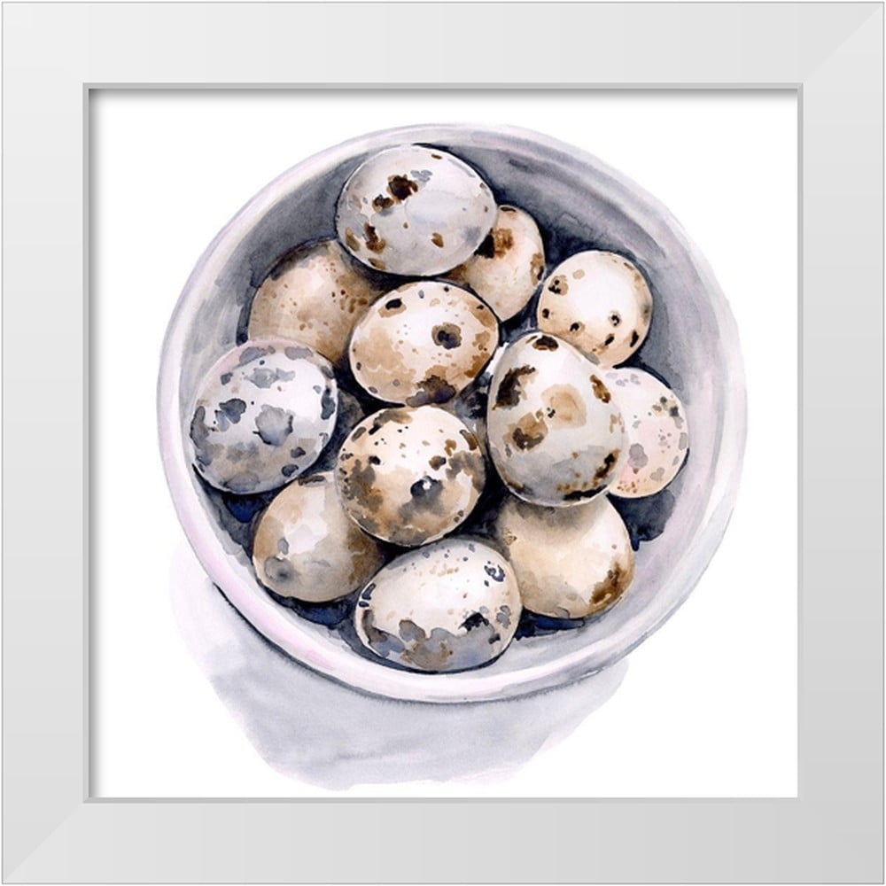 Parker, Jennifer Paxton 15x15 White Modern Wood Framed Museum Art Print Titled - Quail Egg Study ...