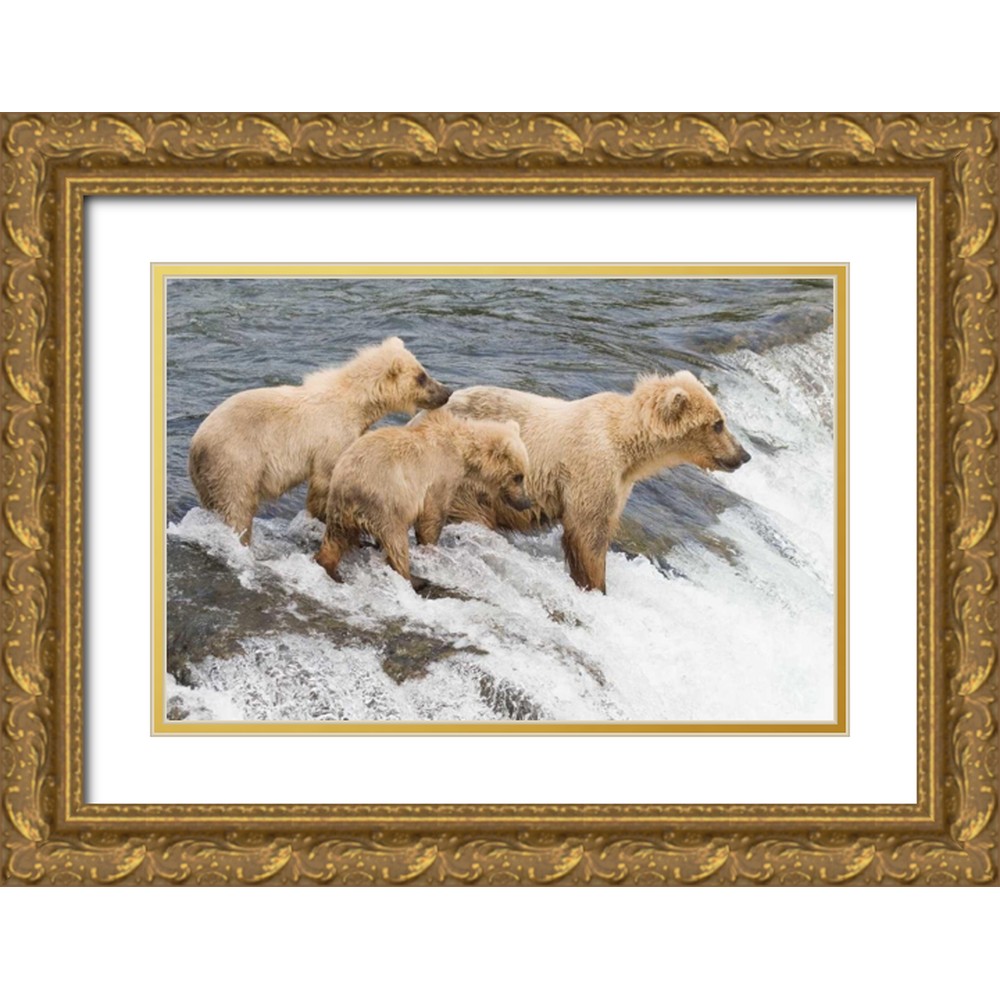 Parker, Susann 32x23 Gold Ornate Wood Framed with Double Matting Museum ...