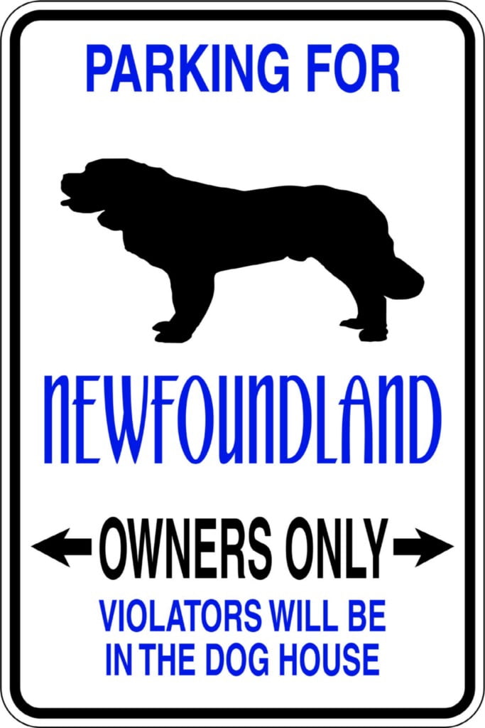 Parking For Newfoundland Picture Art Ã¢â‚¬â€œ Parking Signs - Peel ...