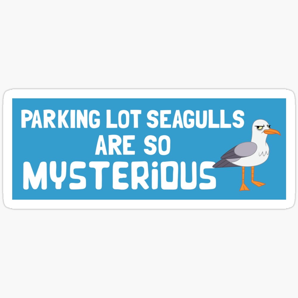 Parking Lot Seagulls Are So Mysterious Funny Gull Bumper Sticker Phone ...