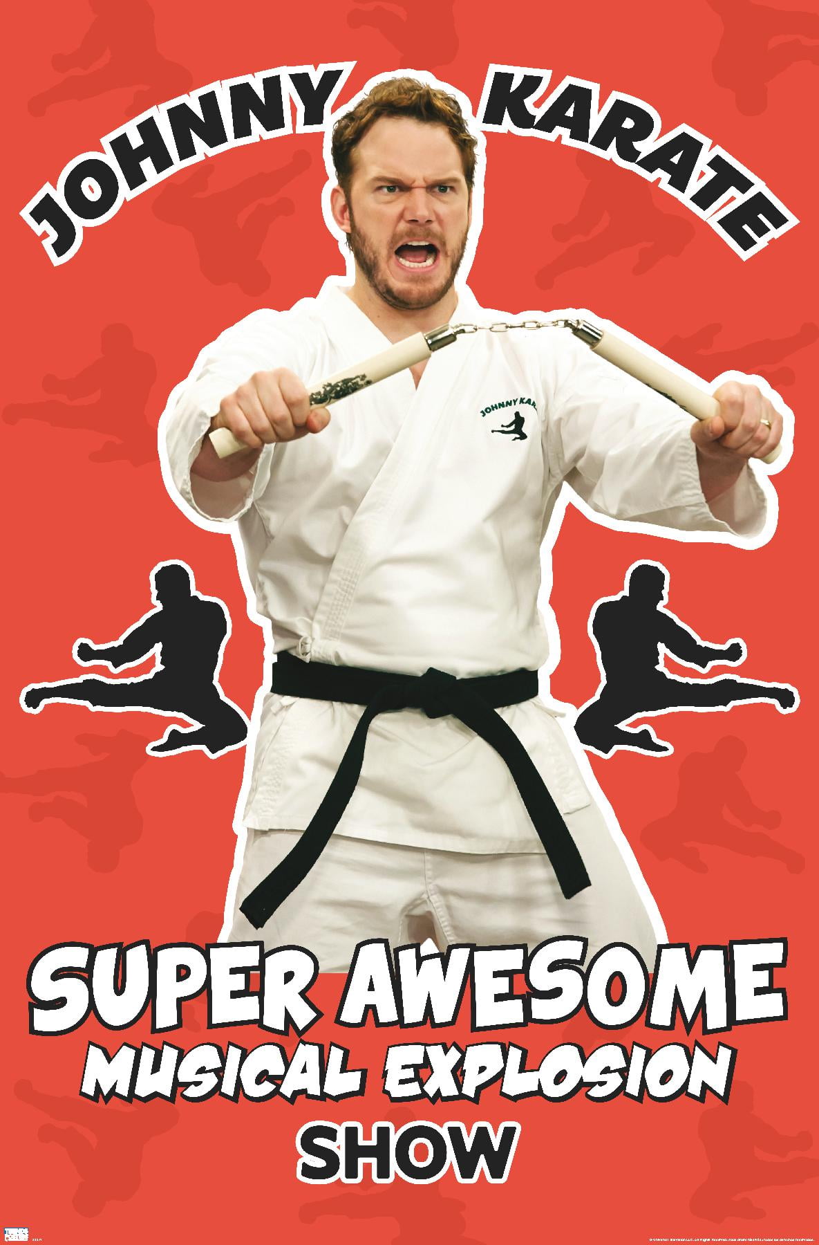 Parks and Recreation - Johnny Karate Wall Poster, 22.375" x 34 ...