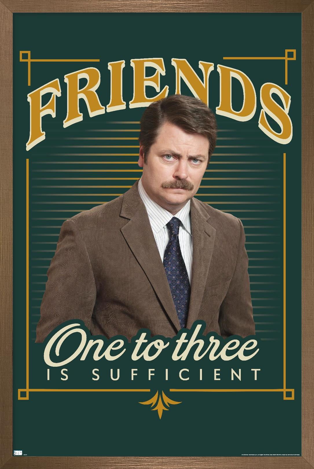 Parks and Recreation - Ron Swanson Friends Wall Poster, 14.725" x 22. ...
