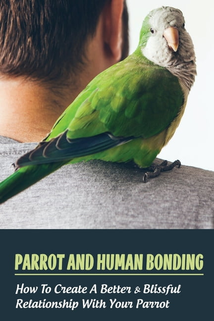Parrot And Human Bonding: How To Create A Better & Blissful ...