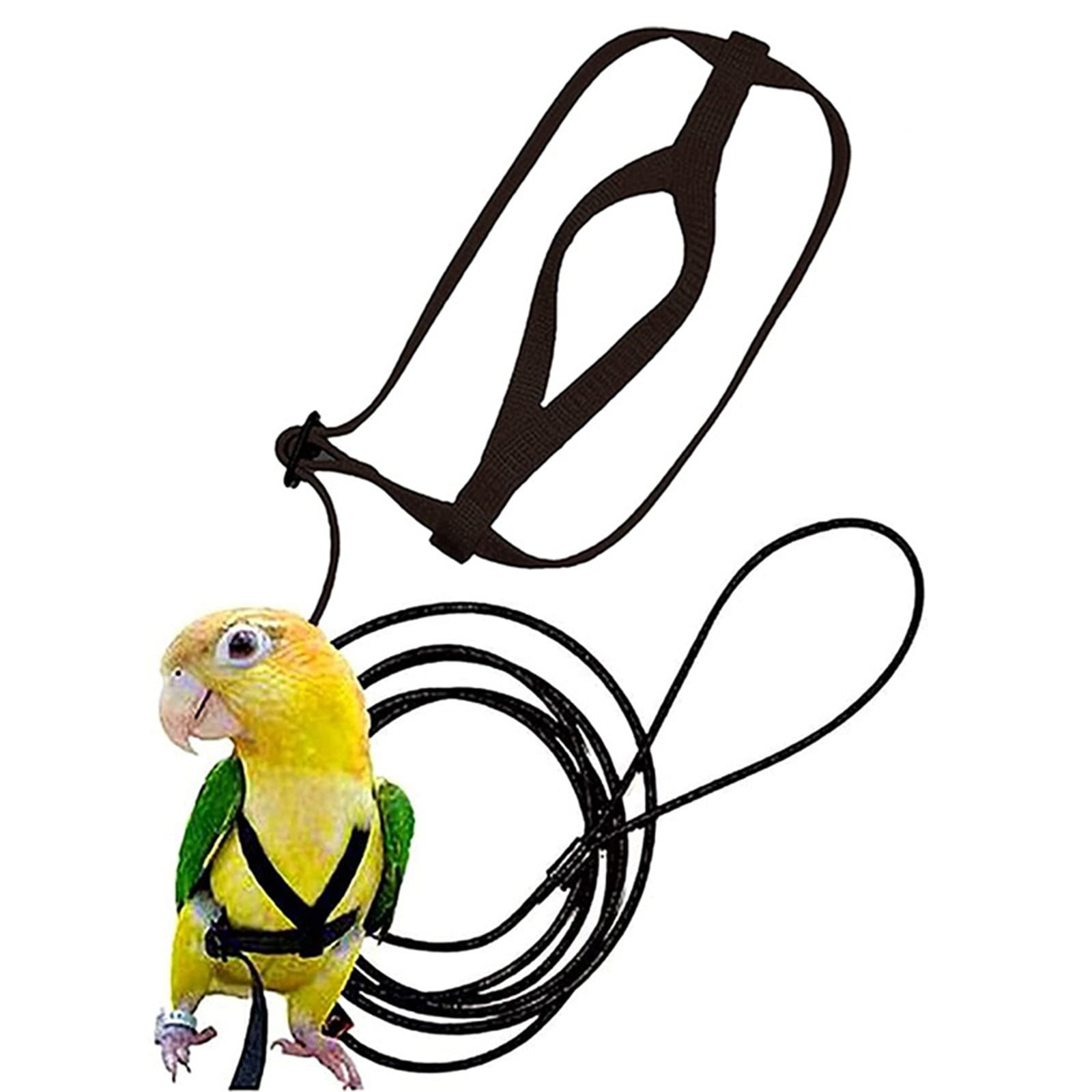 Parrot Bird Harness Leash Adjustable Training Rope Flying Traction ...