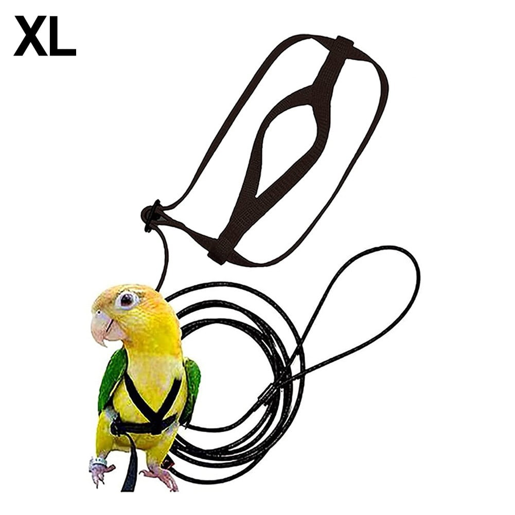 Parrot Bird Harness Leash Adjustable Training Rope Flying Traction ...