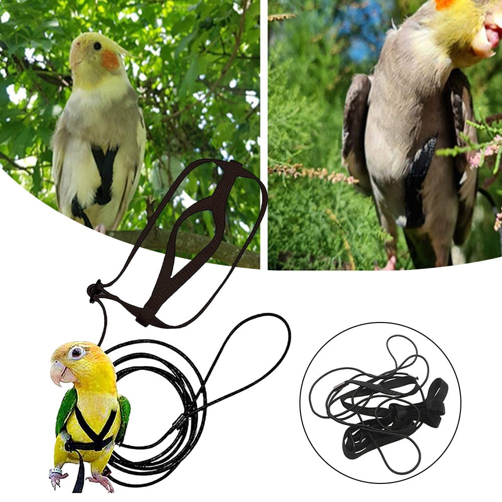 Parrot Bird Harness Leash Adjustable Training Rope Flying Traction ...