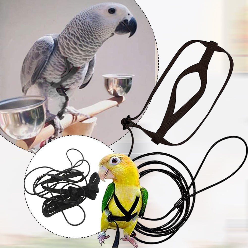 Parrot Bird Harness Leash Adjustable Training Rope Flying Traction ...
