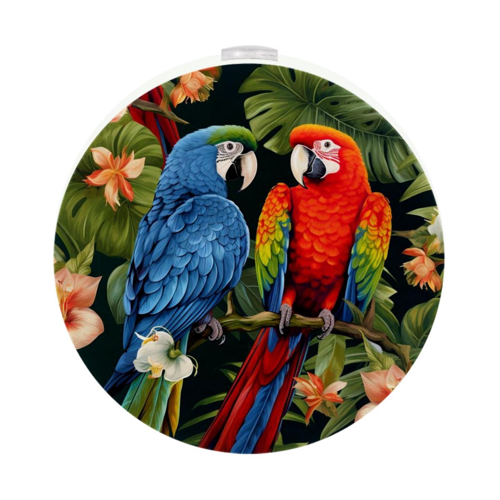 Parrot Bright and Compact LED Round Night Light - Set of 2, Energy ...