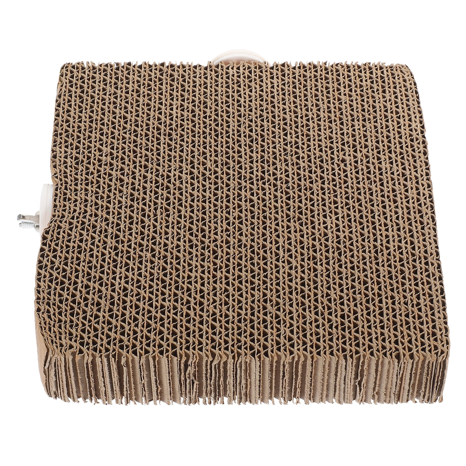 ATRISS Parrot Cardboard Platform Toy Toys Bird Perch Play Stand. Budgie ...