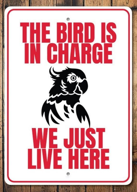 Parrot In Charge, Parrot Owner Sign, Parrot Decor Sign, Parrot Home ...