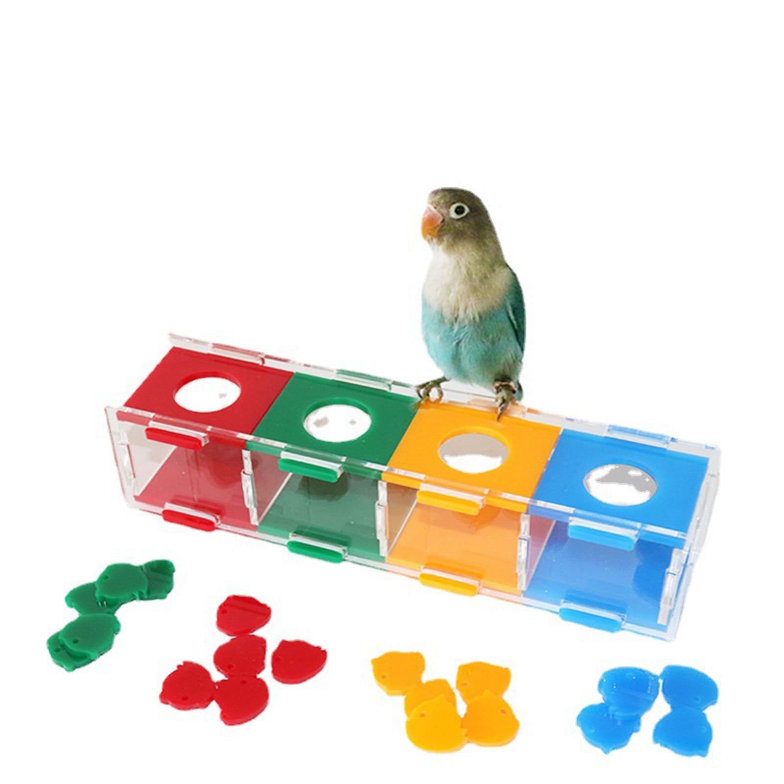 Parrot Color Separation Coin Box Educational Bird Treasure Desktop ...