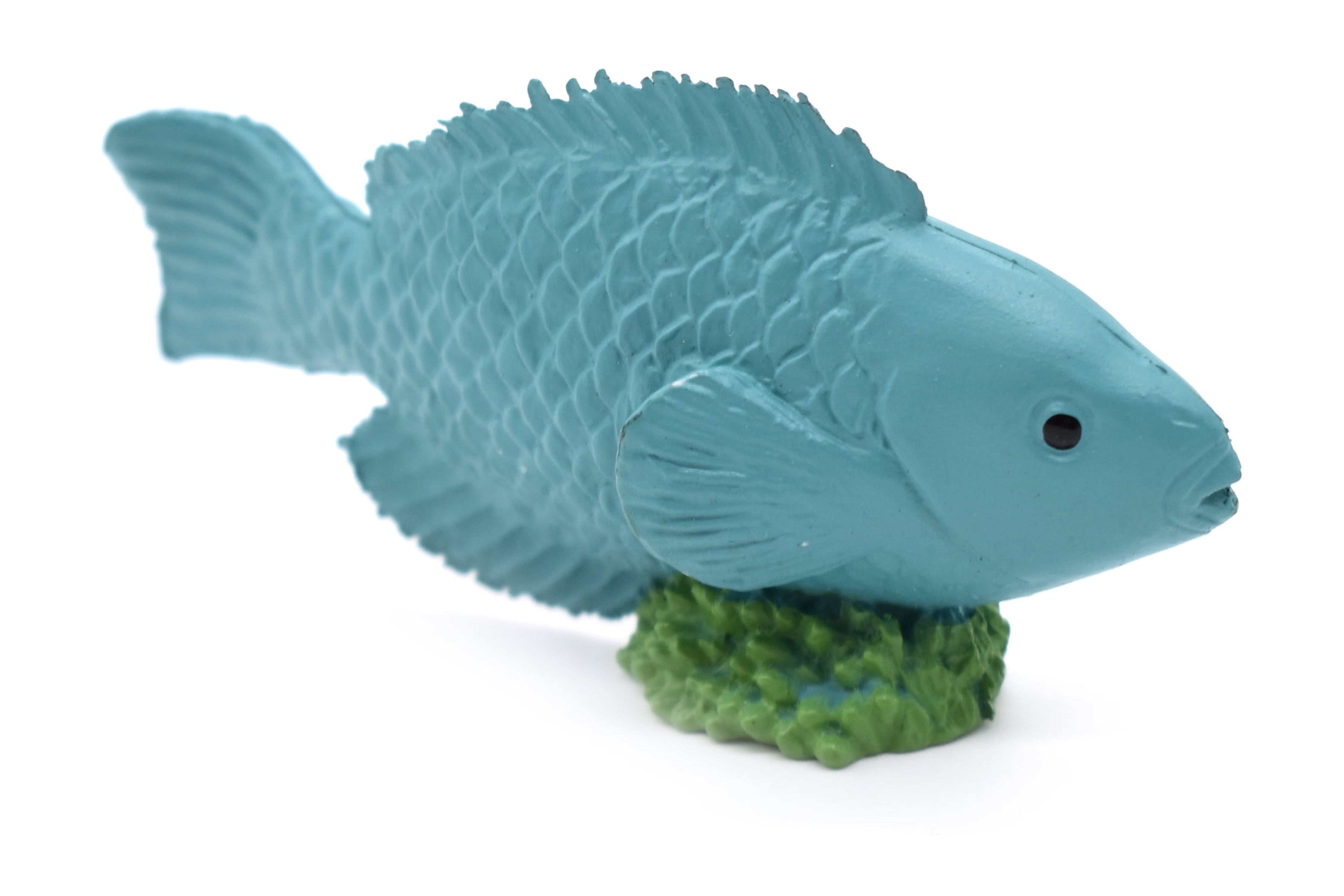 Parrot Fish, Tropical, Rubber Fish Design, Realistic Figure ...