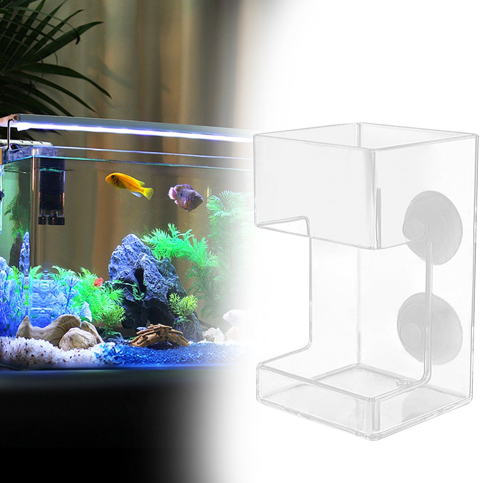 Parrot Fish Turtle Fish Tank B Fish Feeding Ring Transparent Aquarium ...