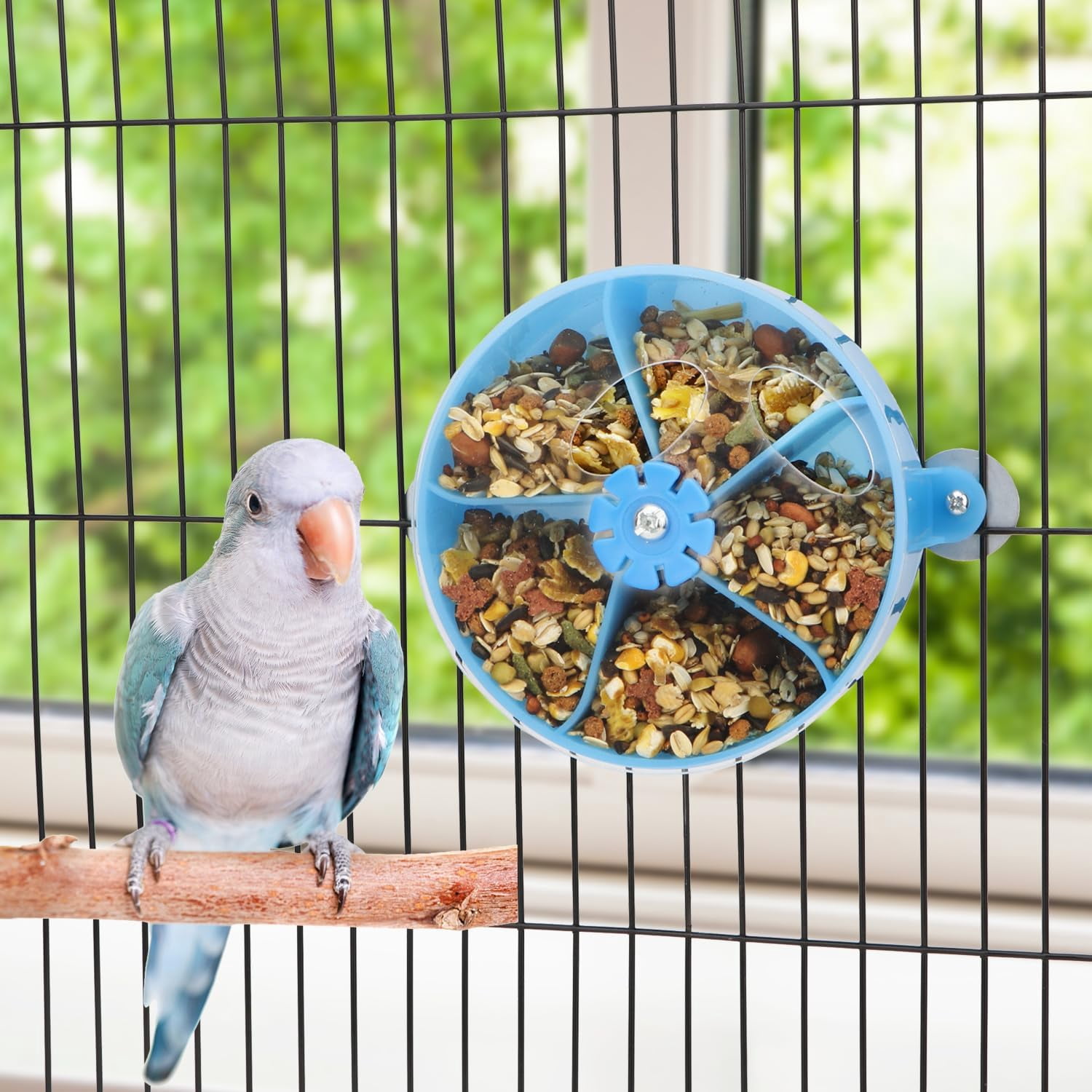 Parrot Foraging Feeder Wheel Toy Food Box Bird Food Basket Creative ...