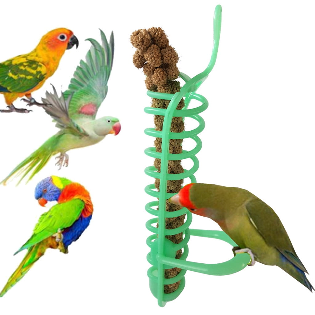 Parrot Foraging Toy | Fruit Fork With Stand | Durable Plastic Bird ...
