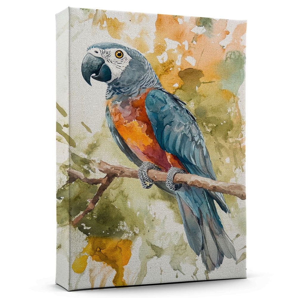 Parrot Grey Headed Senegal Canvas Wall Art Decor, Colorful Parrot Grey ...