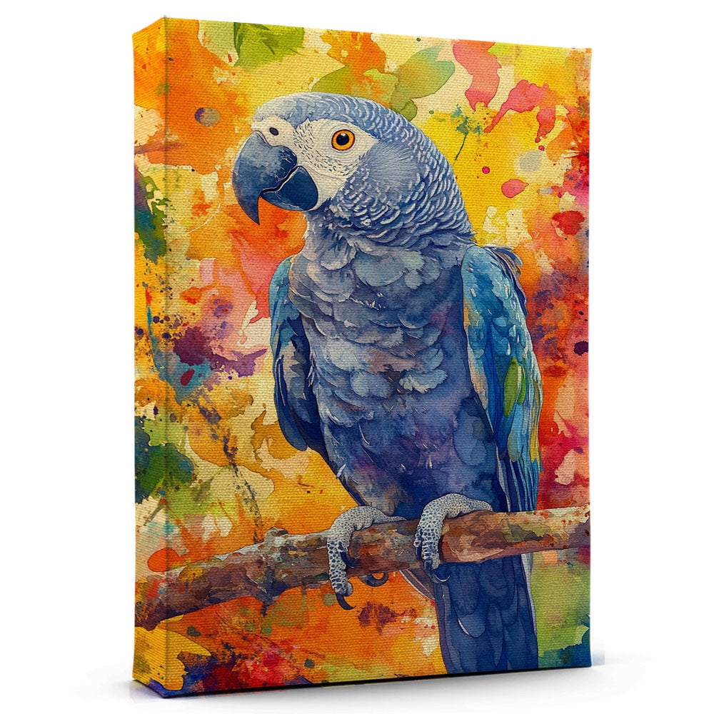 Parrot Grey Headed Senegal Pictures Wall Decor - Colorful Parrot Grey ...