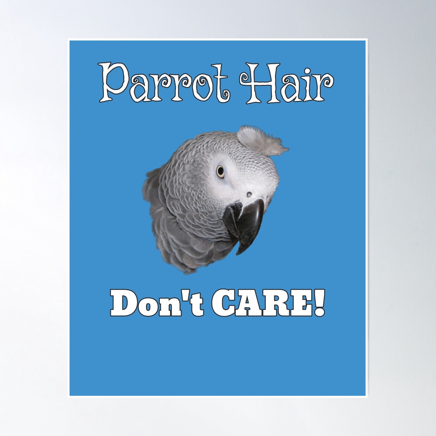 Parrot Hair, Don'T Care African Grey Parrot Design Poster Wall Art ...